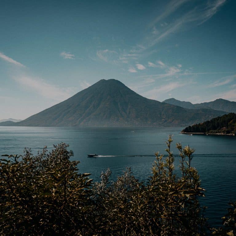 ¿Por qué se extinguió el legendario pato Poc del lago de Atitlán?