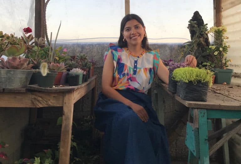 Cósmica: Prisma de colorida tradición textil maya