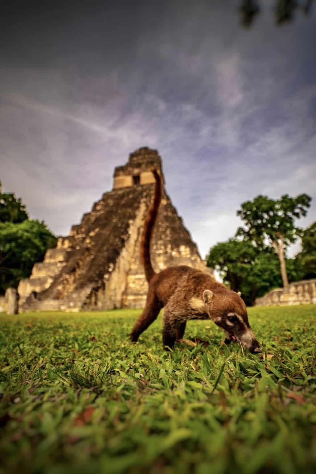 La increíble Guatemala que retrató el fotógrafo David Rojas